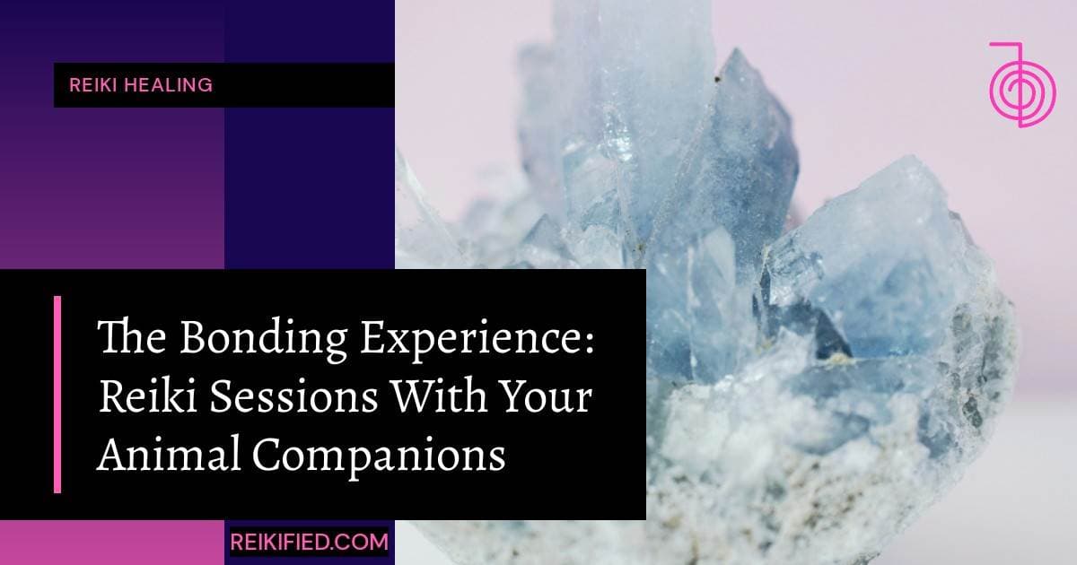 The Bonding Experience: Reiki Sessions With Your Animal Companions